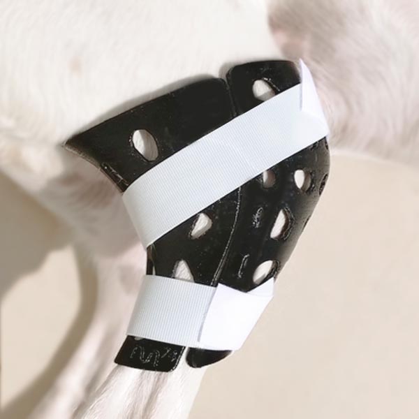 Férula de rodilla para animales - ormeorto