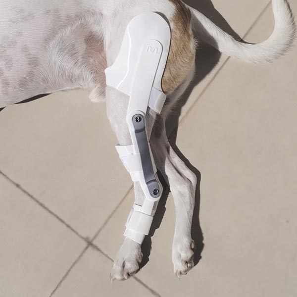 Férula articulada para animales - ormeorto